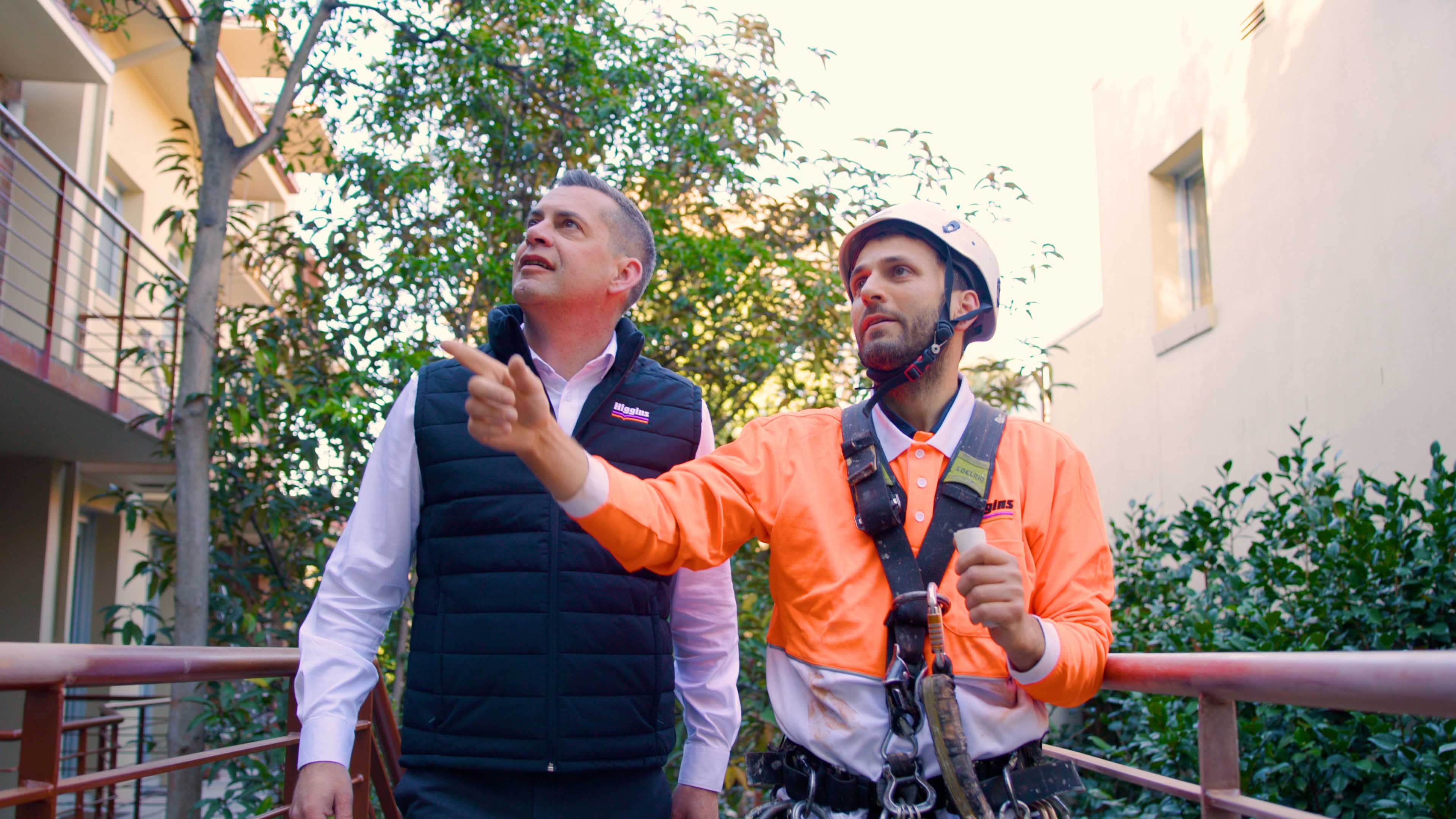 Start your career in painting with Higgins